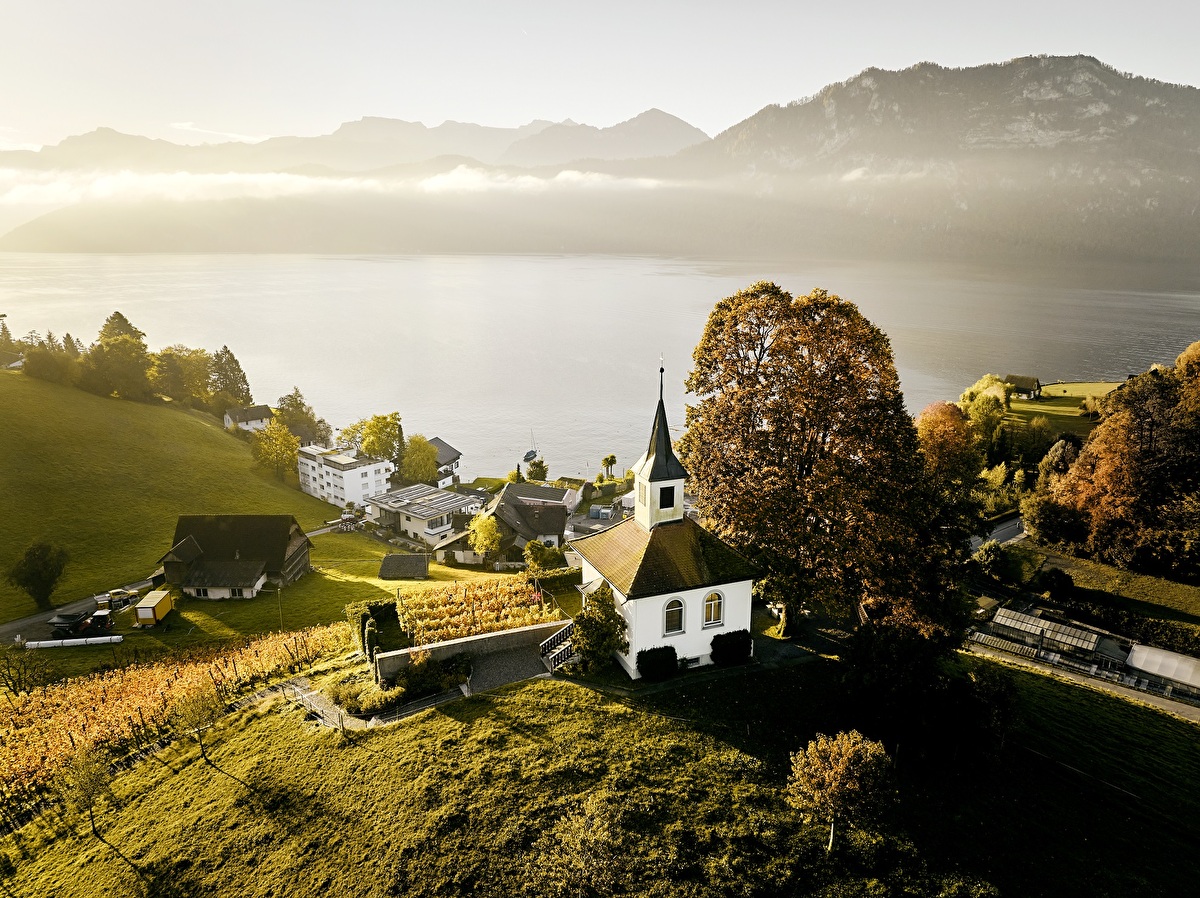 Gemeinde Weggis - Tod