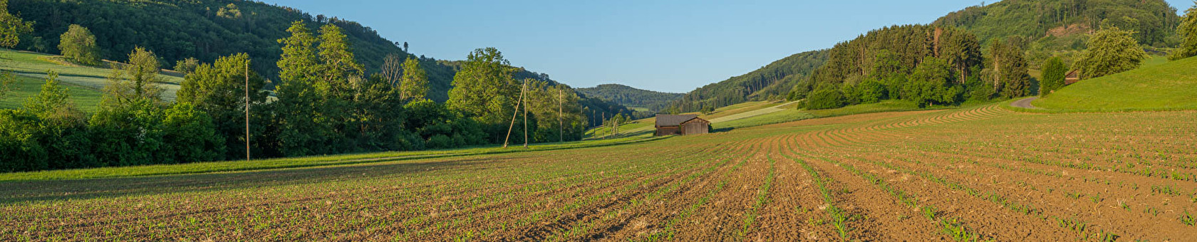 Magden