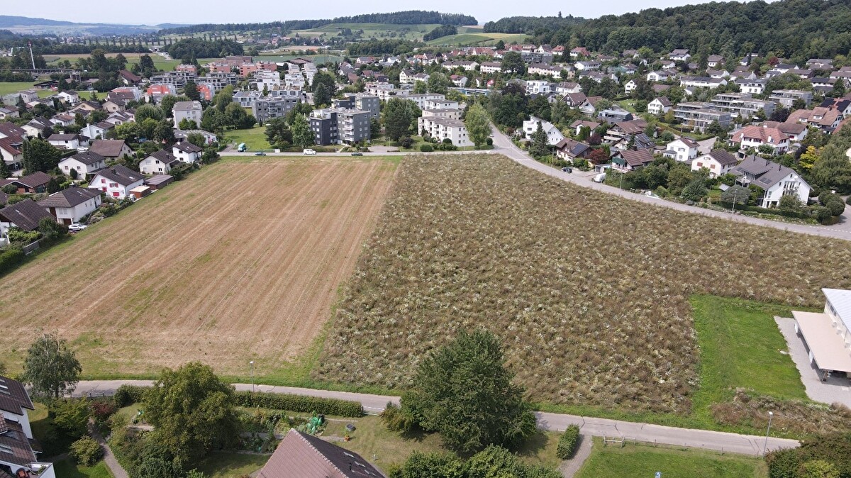 Wiesendangen - Bauland im Baurecht abzugeben - Lüss Wiesendangen